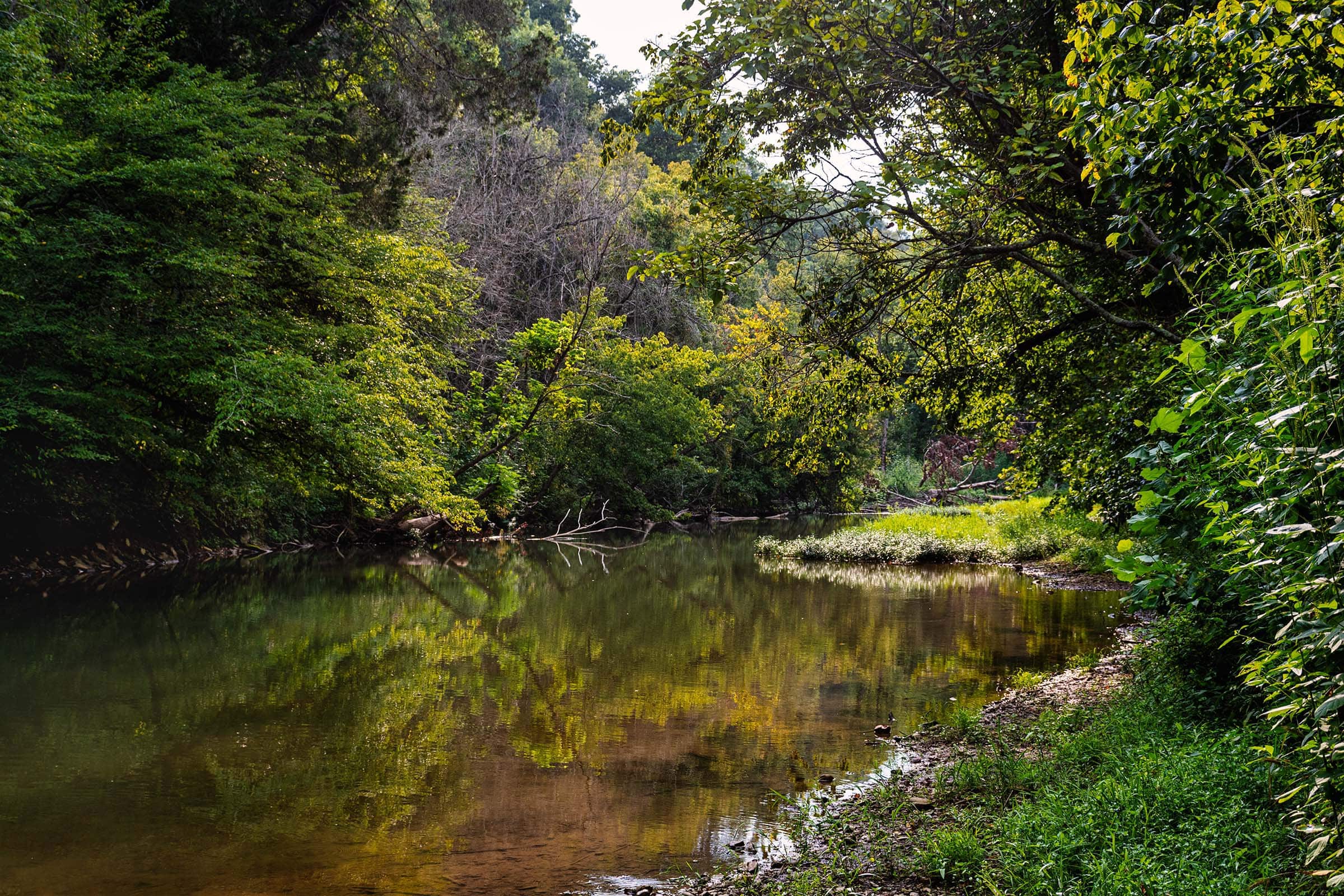 Gallery – Lick Creek